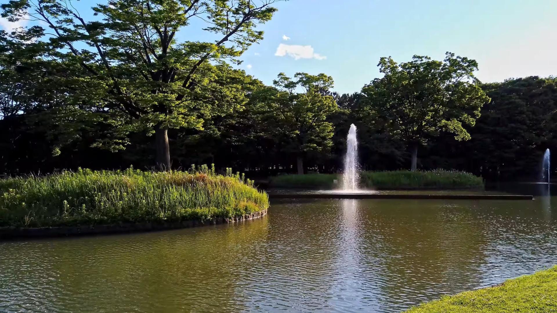 Parc Yoyogi - Le poumon de Shibuya - FuransuJapon